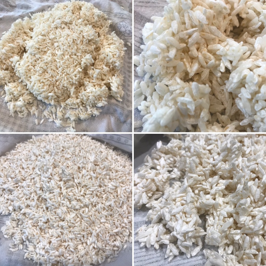 Koji und Shio Koji – fermentierter Reis – GUT-ESSER